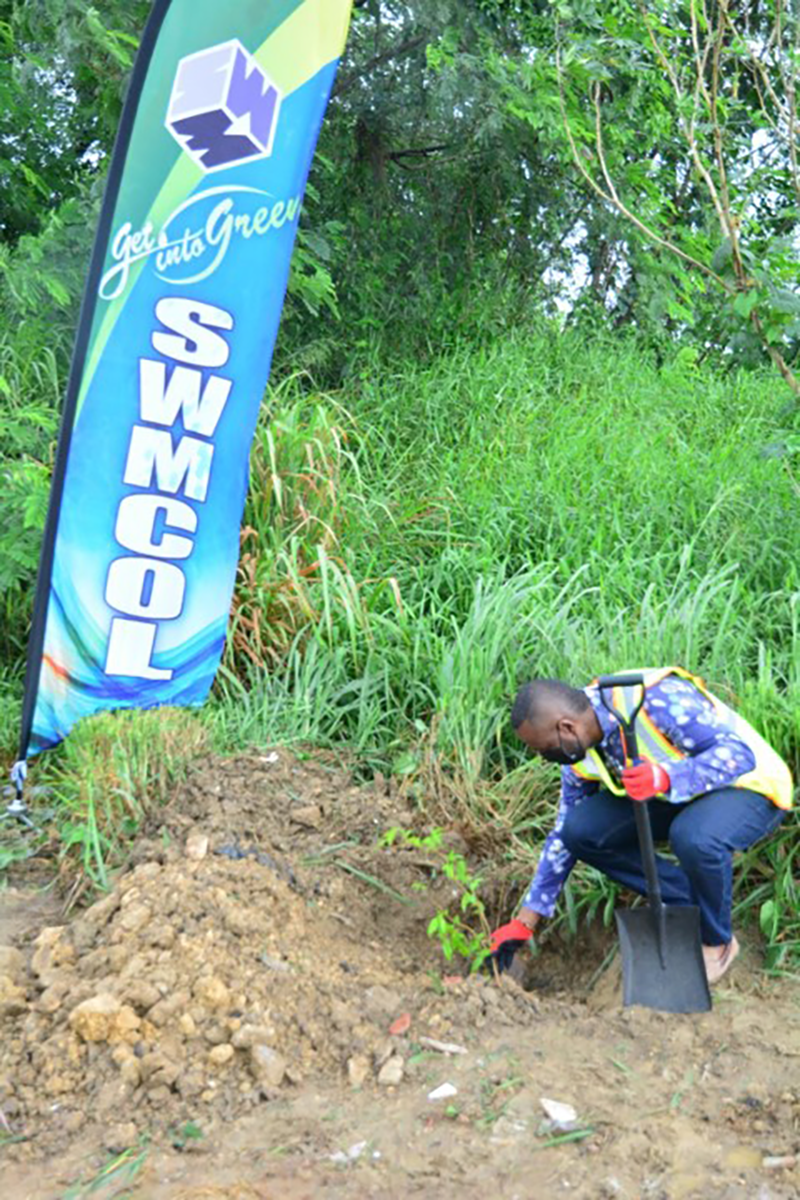 Tree Planting Initiative 2021